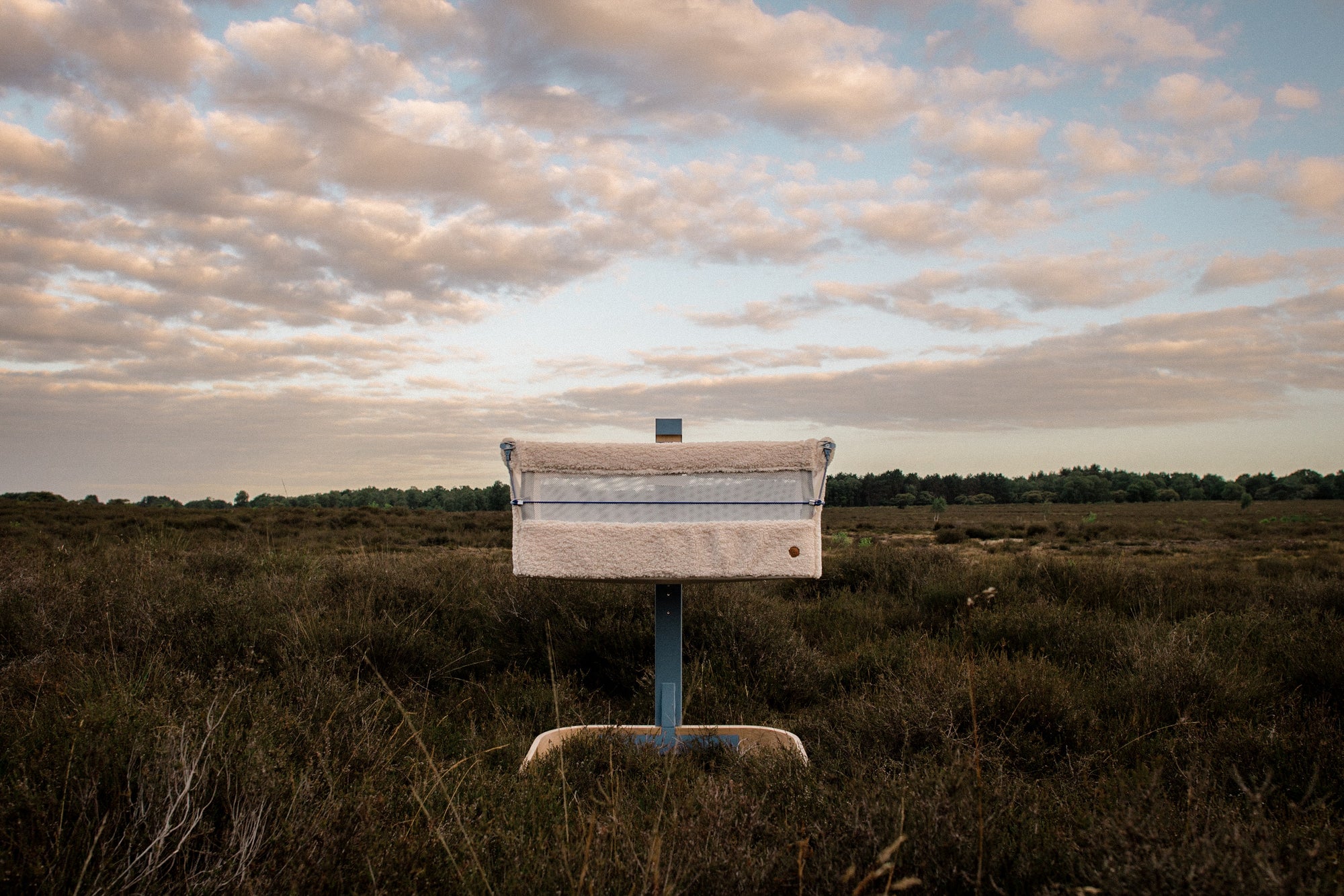 TINY THINGS – Tiny Things